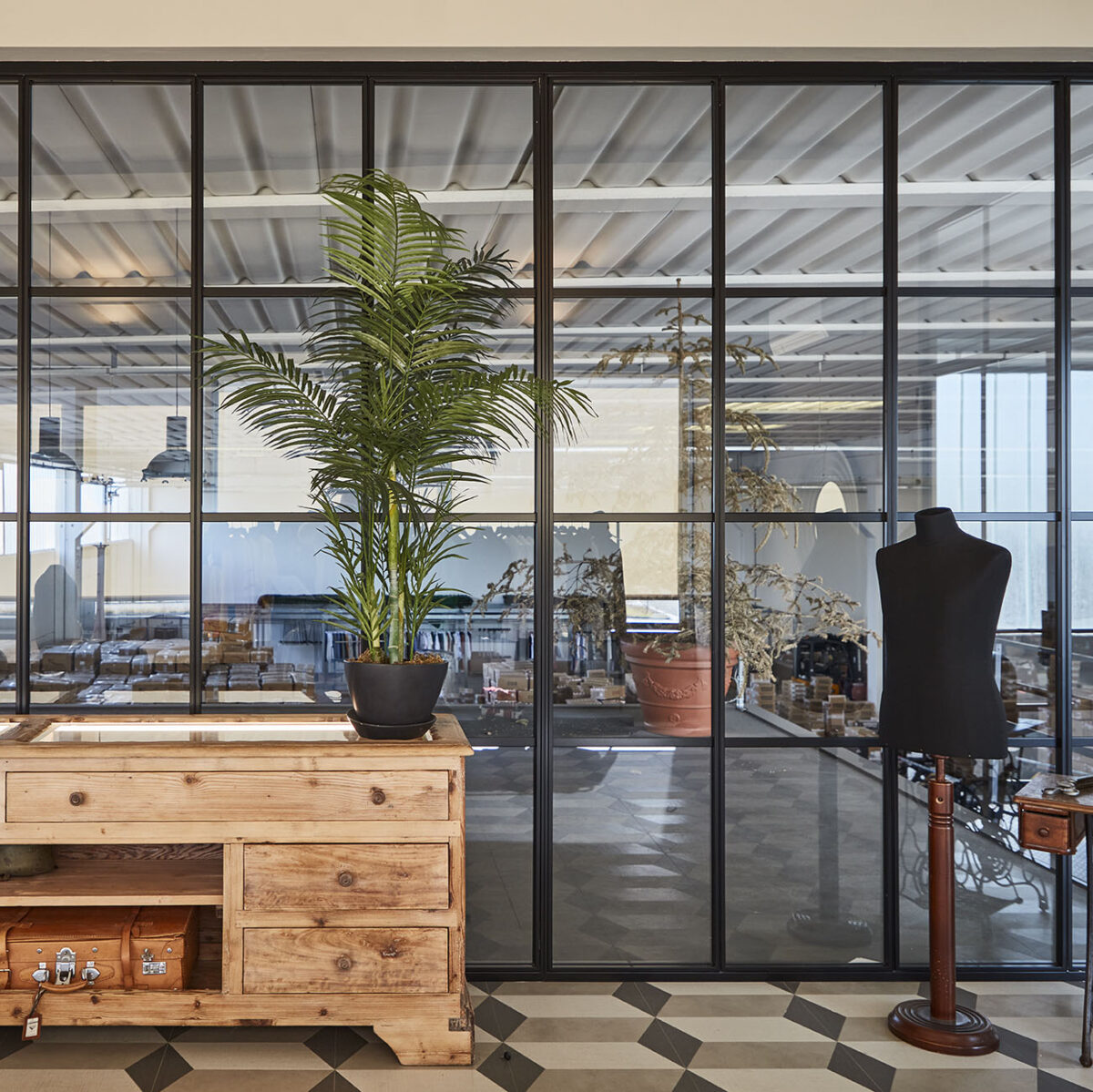 Our Projects and Vision – ALPRO